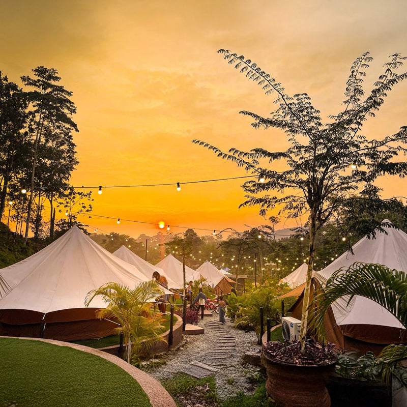 Belantara Resort, Trong – EcoDoor