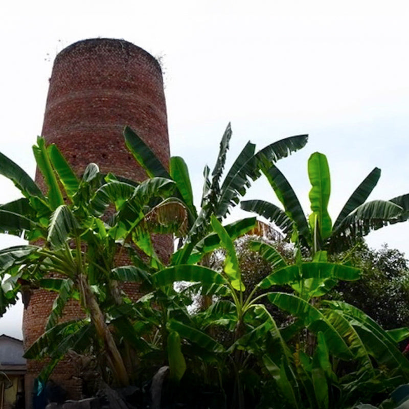 Japanese Carbide Chimney – EcoDoor