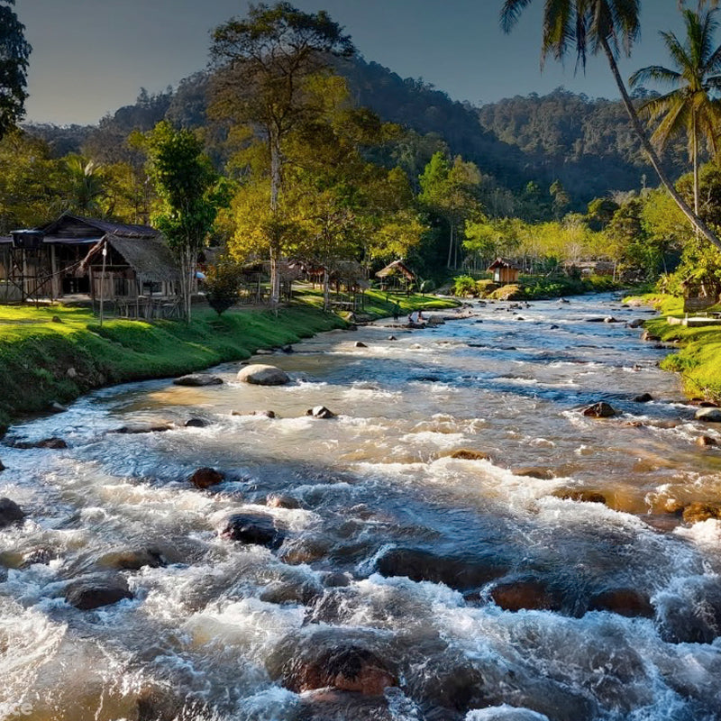 Pos Kuala Mu Indigenous People Settlement – EcoDoor