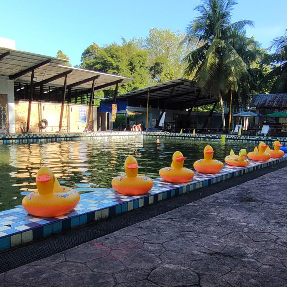 Natural Stream Coronation Swimming Pool – EcoDoor
