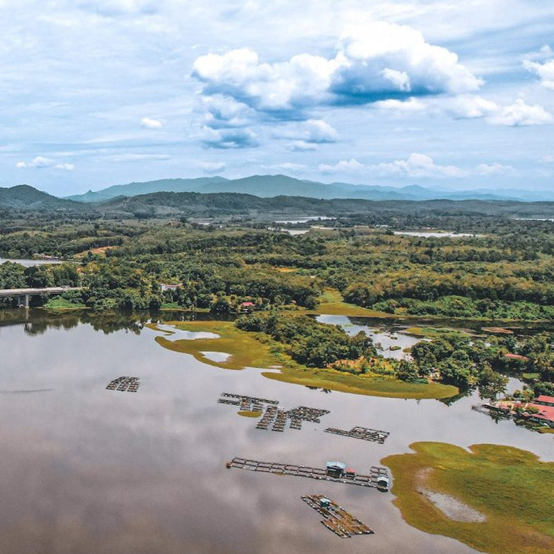 Raban Lake (Tasik Raban), Lenggong – EcoDoor