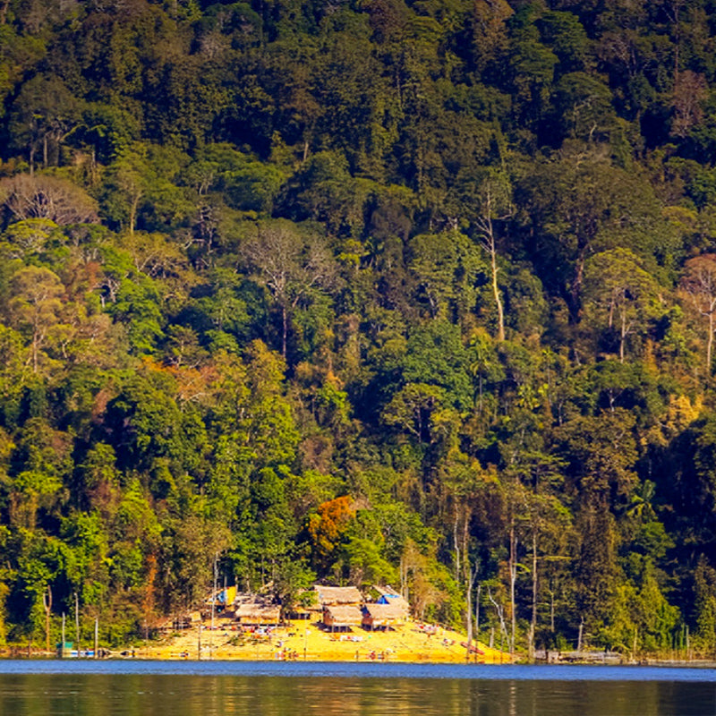 Temengor Forest Reserve – EcoDoor